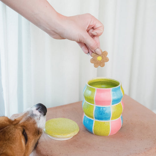 IN CONVERSATION WITH LYNDSIE HARRIS OF CERAMIC SAGUARO - Springland Pets