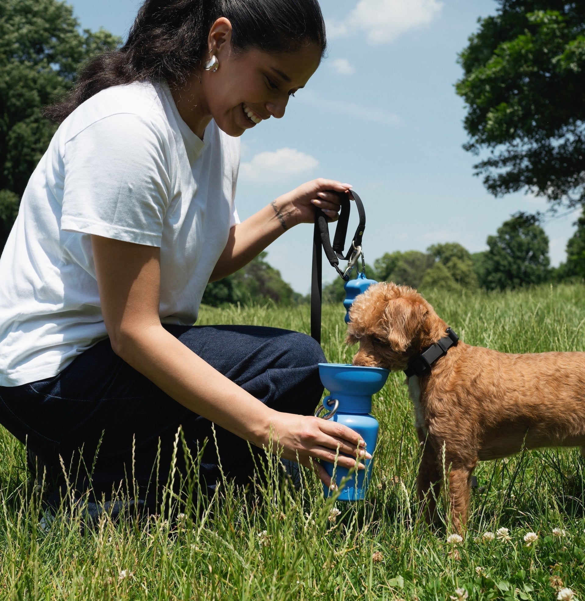 WORLD WATER DAY: HYDRATION FOR ALL - Springland Pets