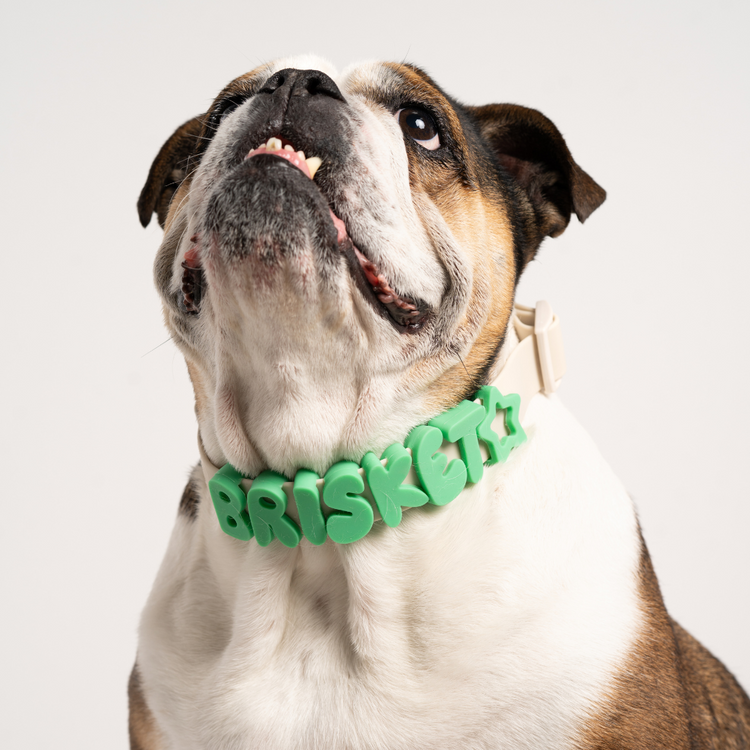 Personalized Waterproof Dog Collar with Charms - Springland Pets