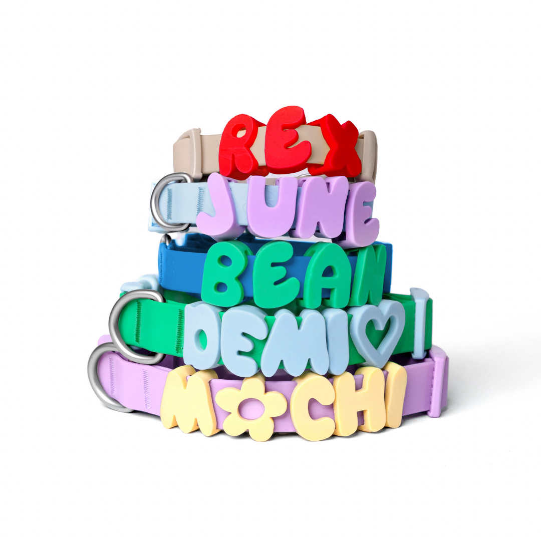 Personalized Waterproof Dog Collar with Charms - Springland Pets