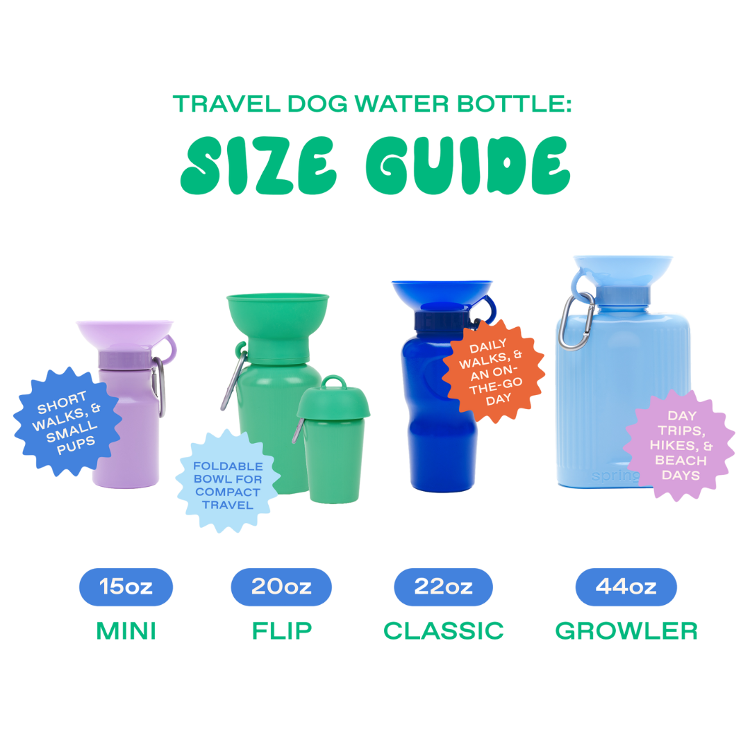 20oz Flip Dog Travel Water Bottle - Springland Pets